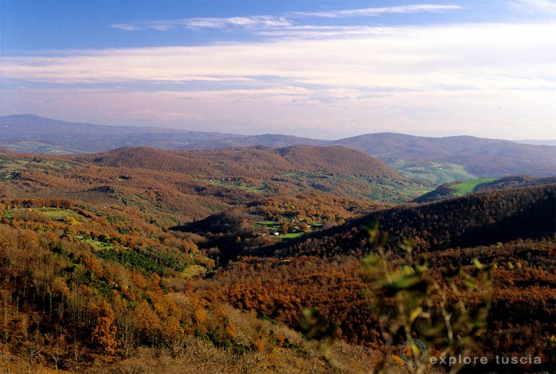 Piantangeli e i Monti della Tolfa - una lunga storia - Explore Tuscia