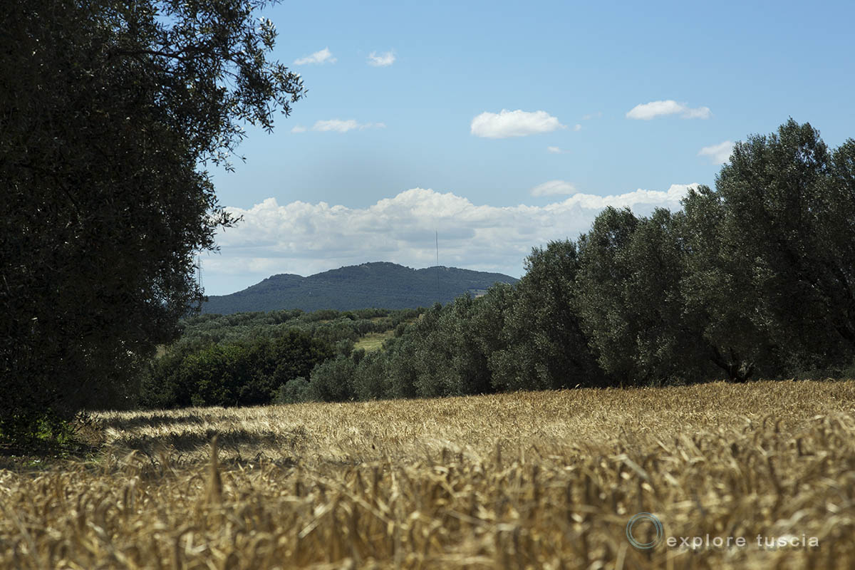 Monte Canino e Ulivi - Explore Tuscia